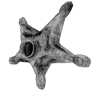 【content warning攻略】敵(エンティティ)まとめ。【コンテント ワーニング】